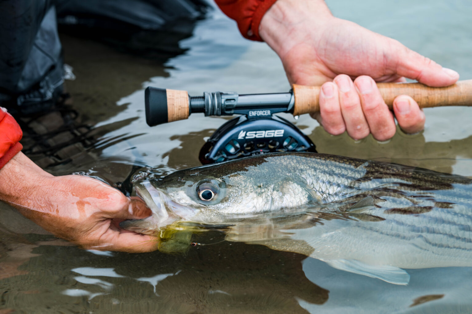 Home - LL TACKLE WORLD