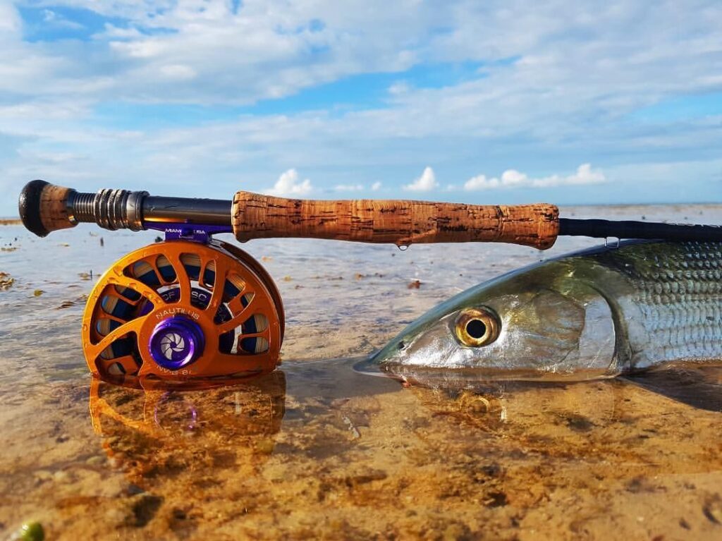 Nautilus Reels - LL TACKLE WORLD